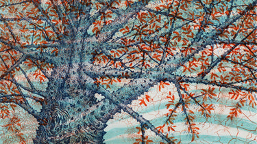 Oaxaca Central – Chrysler Museum of Art